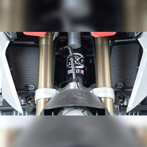 R&G Aluminum Radiator Guard For BMW R1200GS '13-'18 | Bob’s Motorcycle ...