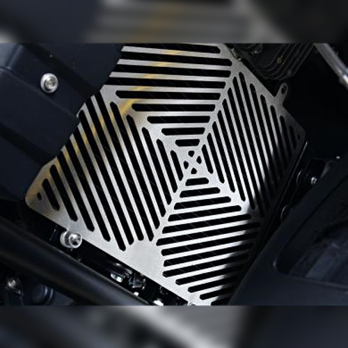 R&G Stainless Steel Radiator Guard For BMW G310GS '18-'19 & G310R '17 ...