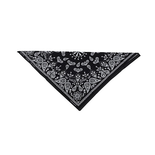 Paisley Cotton Bandana | Bob’s Motorcycle’s – Jessup, MD