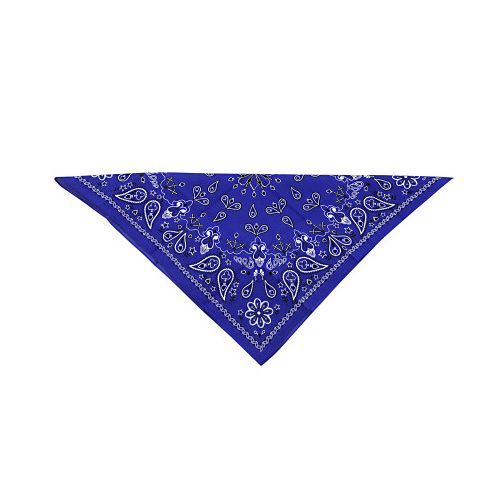 Paisley Cotton Bandana | Bob’s Motorcycle’s – Jessup, MD